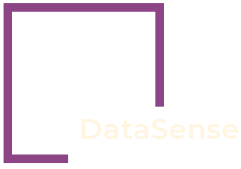 DataSense Solutions Inc. | Data Analytics, Automation & Reporting