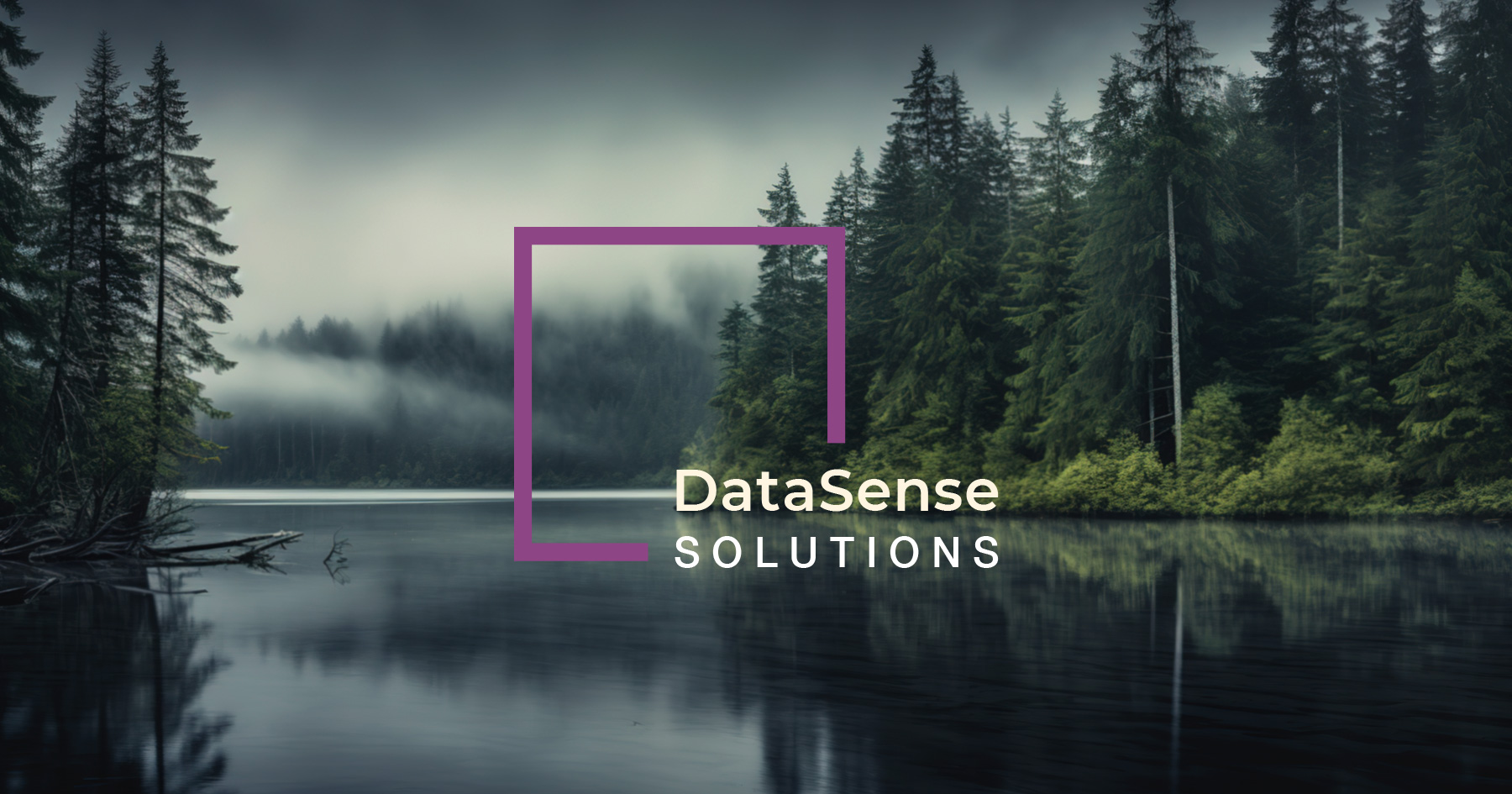 DataSense Solutions Inc. | Data Analytics, Automation & Reporting